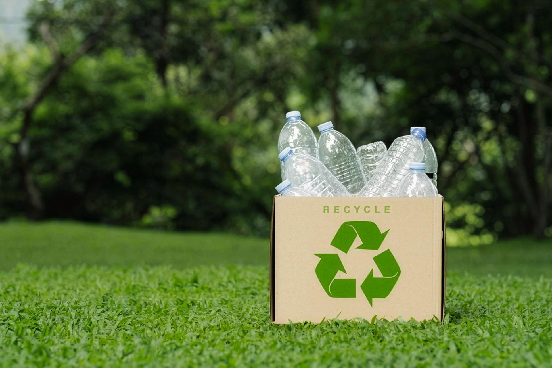 Reciclarea sticlei in afaceri: ghid complet pentru companii